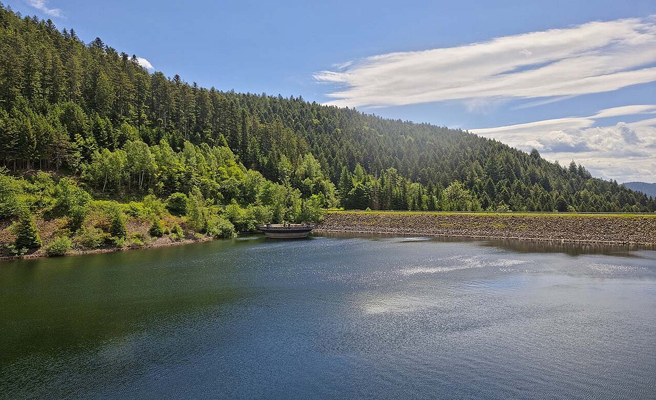 Visit of the „Kleine Kinzig” dam - Betreiberplattform